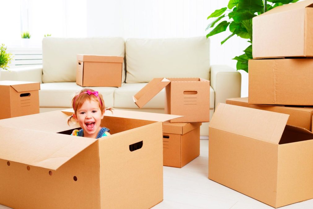 Save Time Packing With 4 Speciality Moving Boxes - DeVries Moving